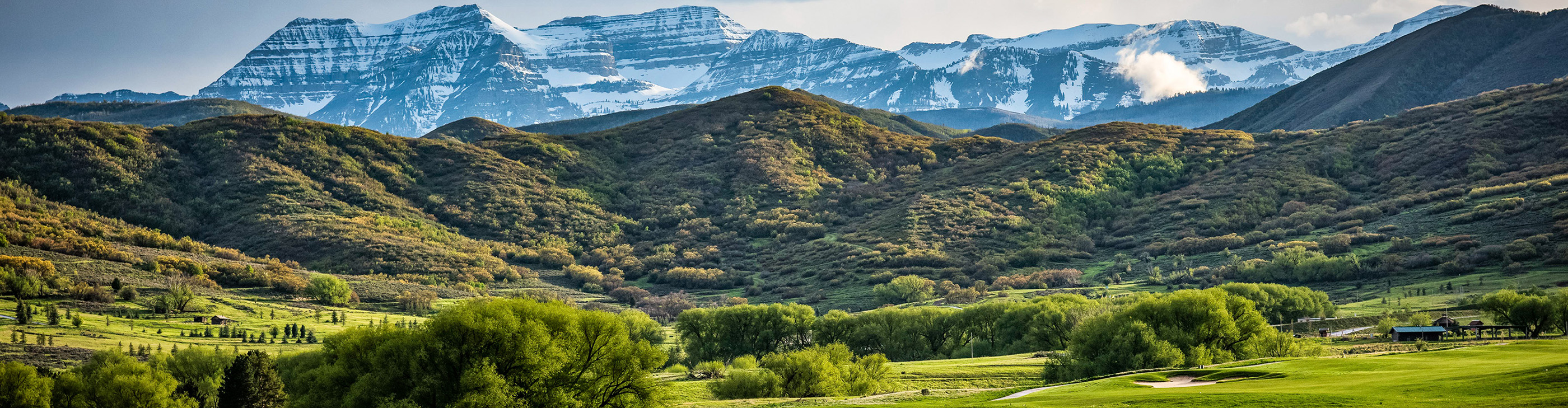 Mayor & City Council - City of Midway